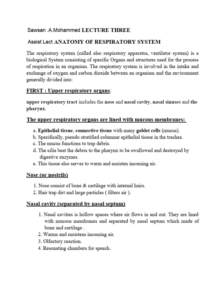 Lect 3 | Download Free PDF | Respiratory Tract | Lung