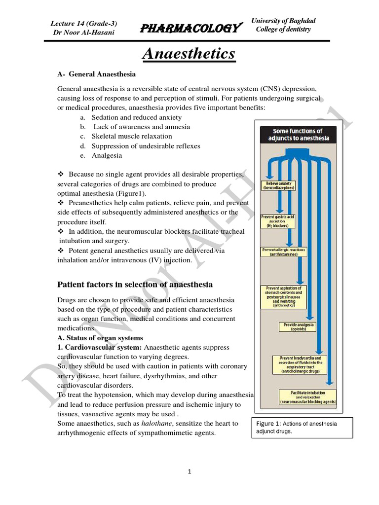 Lecture 14 Pharmacology Dr. Noor Al Hasani | PDF | Anesthesia ...