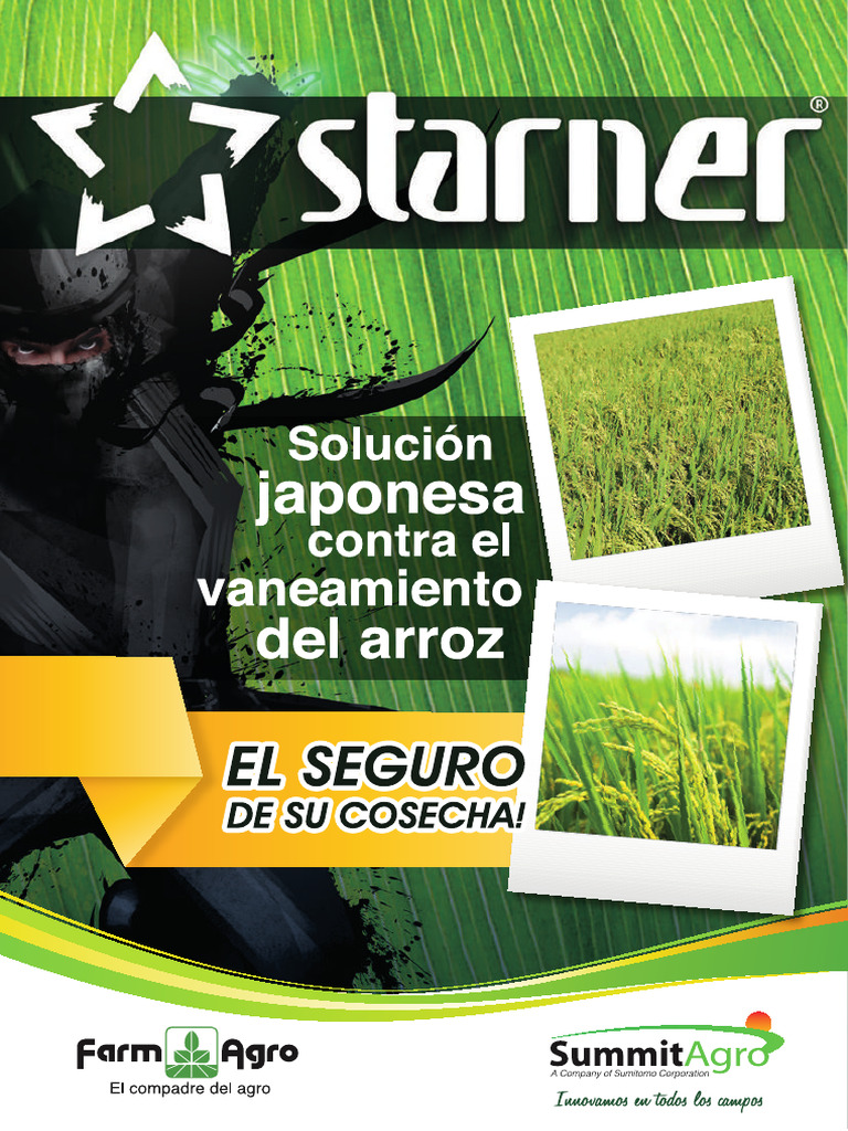 Starner (2) | PDF