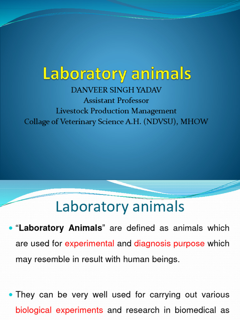 Laboratory-animals | PDF | Animal Testing | Guinea Pig