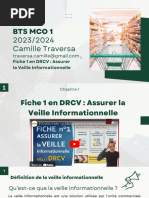 Bts Mco Assurer La Veille Informationnelle Version 2 | PDF | Commercialisation | Économie