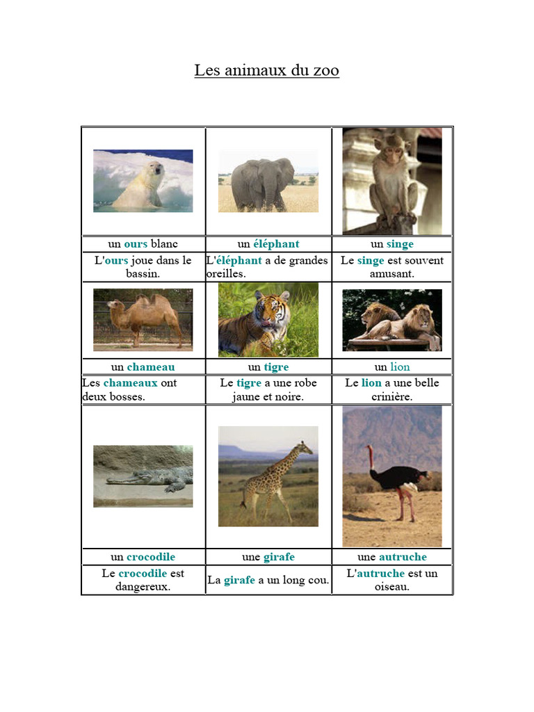 Animaux du zoo : Description et quiz | PDF