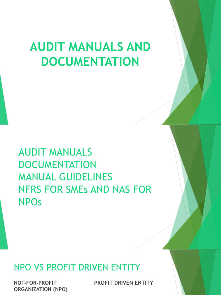 Audit Manuals and Documentation | PDF | Audit | Auditor's Report