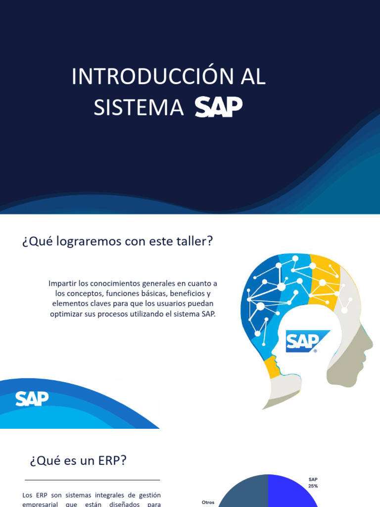 Introducción al Sistema SAP | PDF | Planificación de recursos empresariales | Informática