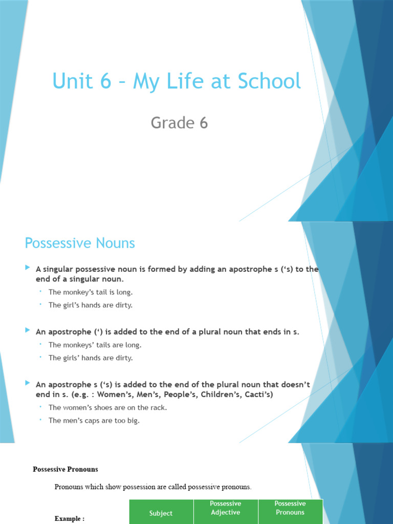 Understanding Possessive Nouns and Pronouns | PDF | Noun | Grammatical ...