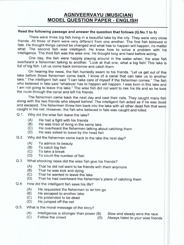 AV Musician MODEL QP | PDF