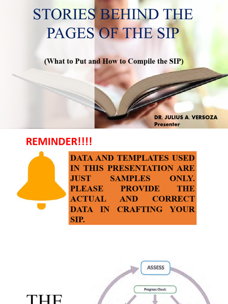 2023 2028 Sip Content and Structure New | PDF | Risk Management | Risk