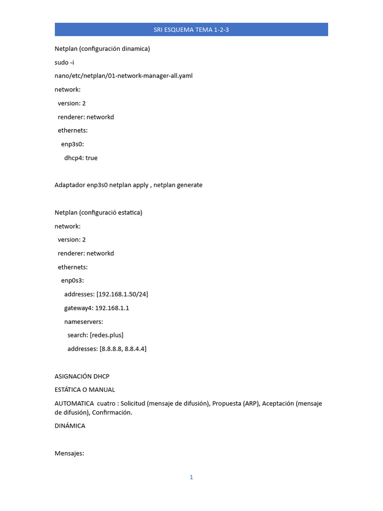 Teoria Esquema Sri | PDF | sistema de nombres de dominio | Dirección IP
