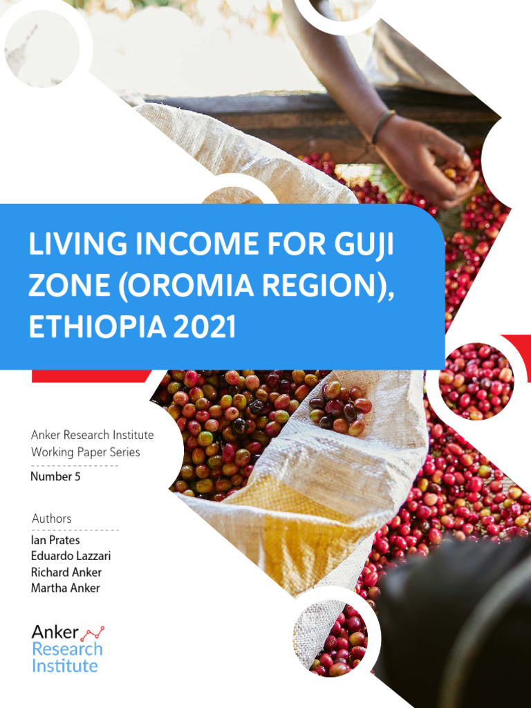 Living Income Analysis for Guji Zone | PDF | Cost Of Living | Household ...