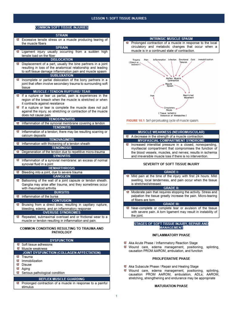 Thera | PDF | Tendon | Injury