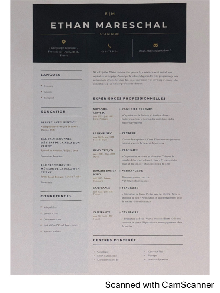 CV Ethan Mareschal | PDF