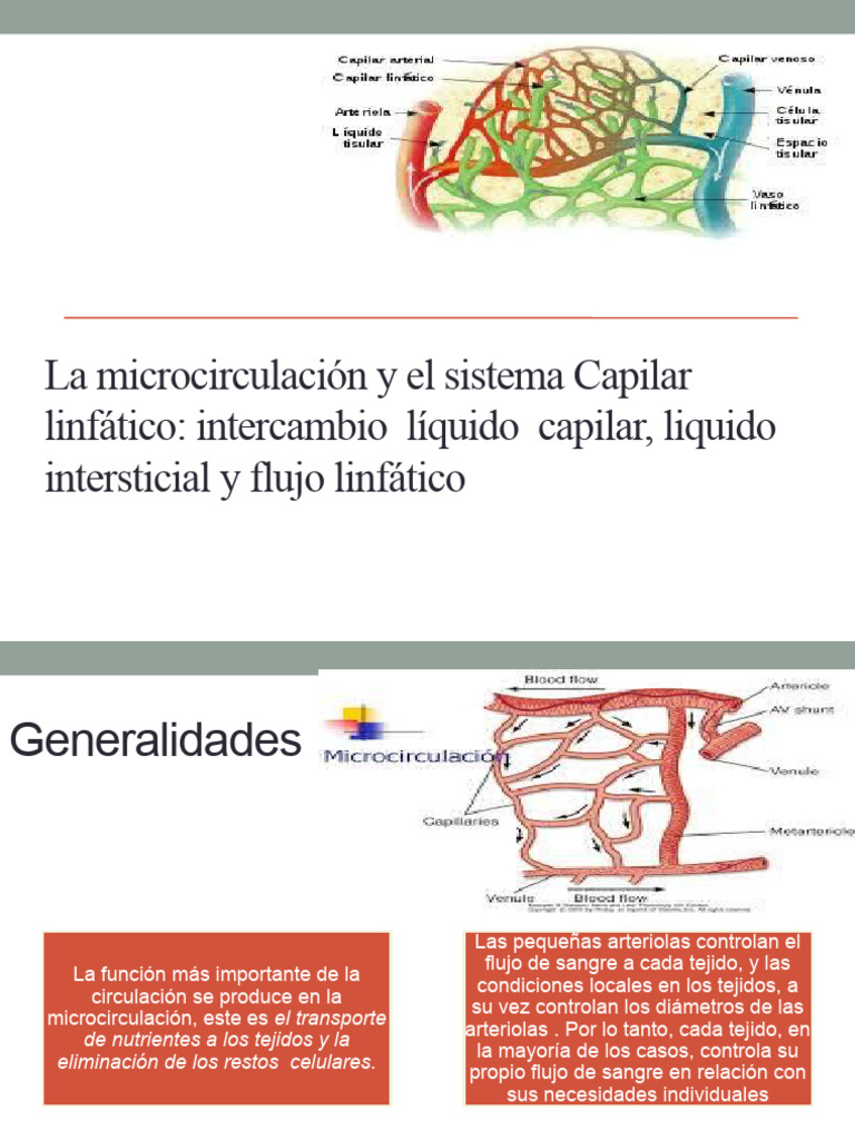 Microcirculación y Flujo Linfático | PDF | Capilar | Sistema cardiovascular