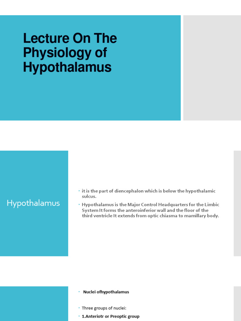 Hypothalamus | PDF | Spinal Cord | Hypothalamus