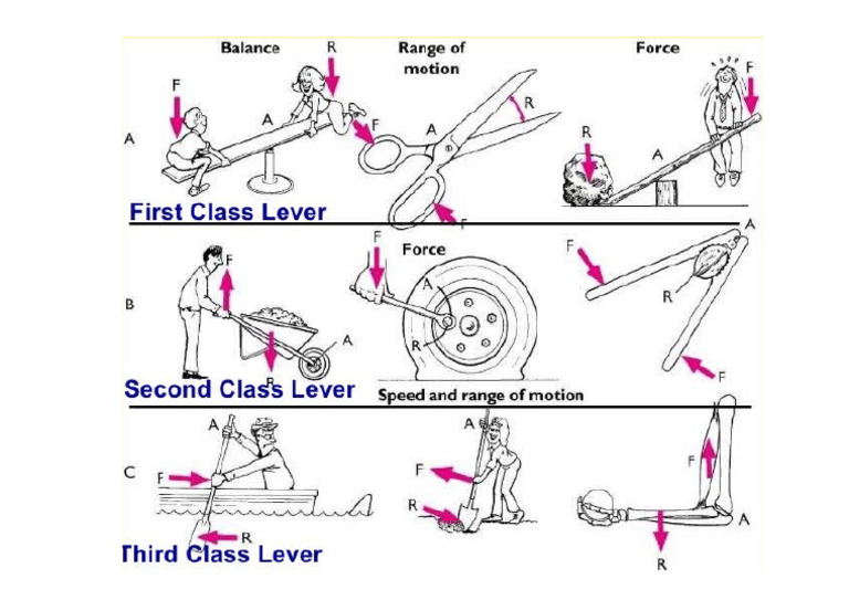 Lever Examples | PDF