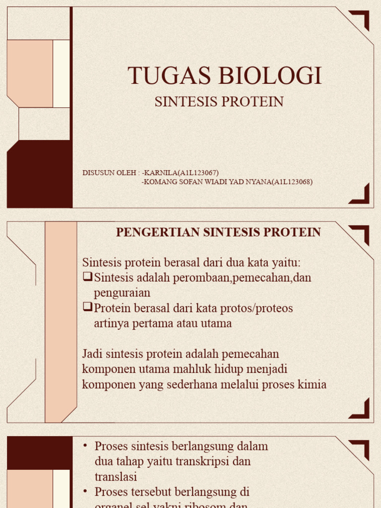 Proses Sintesis Protein dalam Sel | PDF | Sains & Matematika ...