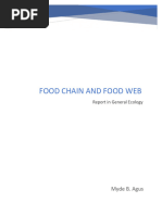 Daintree Rainforest Food Web Overview | PDF