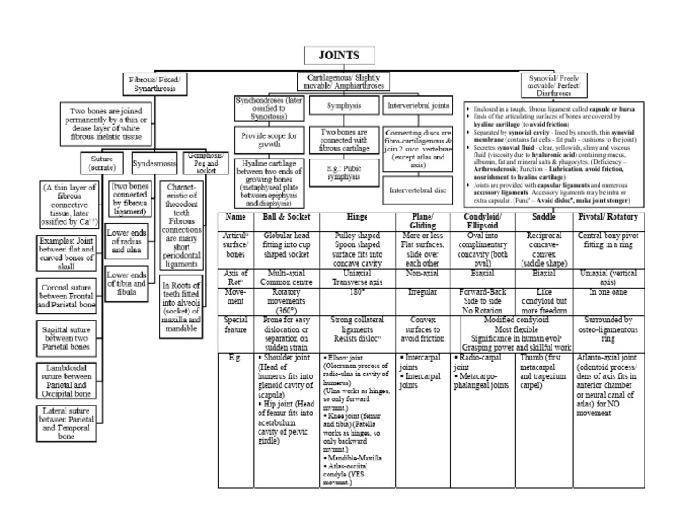 Joints Chart | PDF | Anatomy | Limbs (Anatomy)