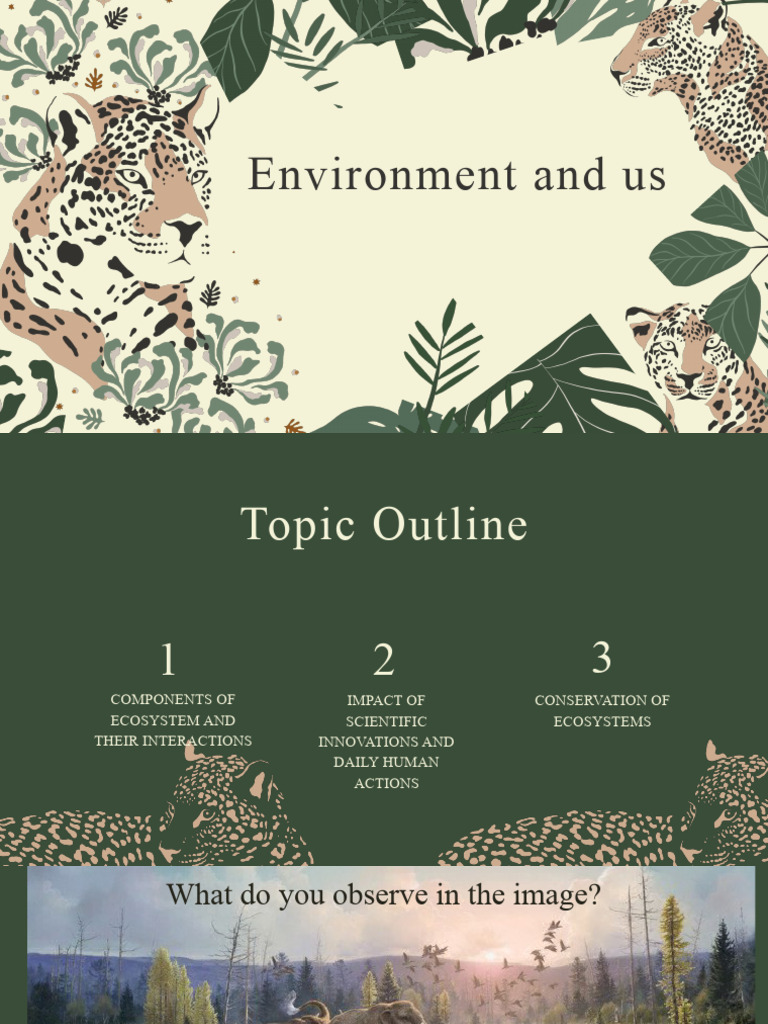 Components of Ecosystem | PDF | Ecosystem | Earth Sciences