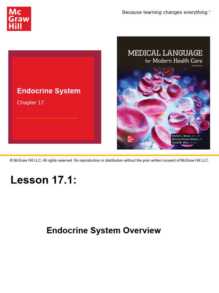 Allan - 5e - PPT - Ch17 - Endocrine System | PDF | Endocrine System ...