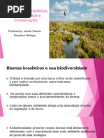 Capa Trabalho Ciencias Bioma Brasileiro | PDF