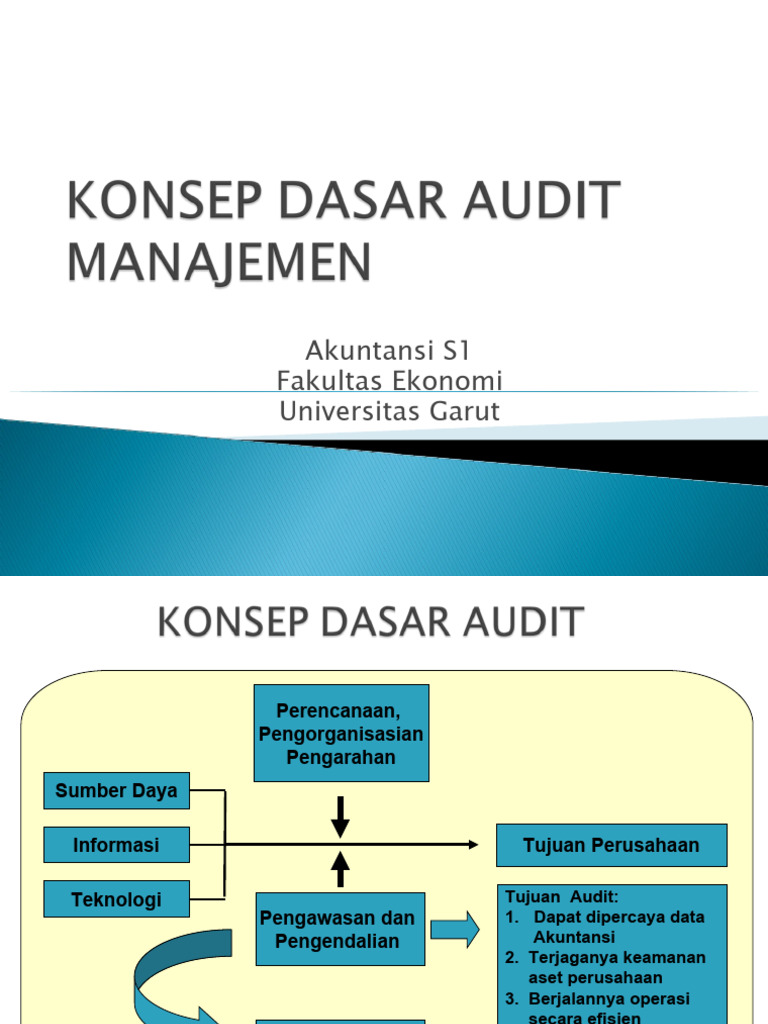01 Konsep Dasar Audit Manajemen | PDF
