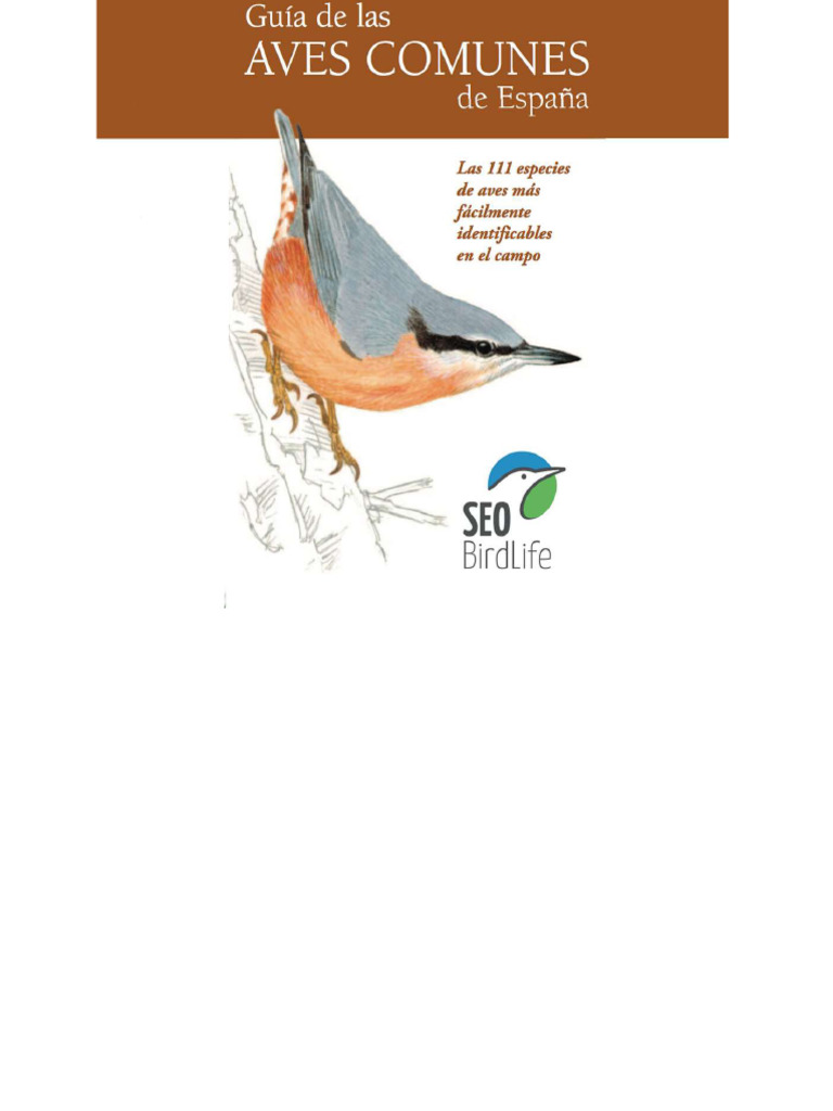 Guía Aves Pdf