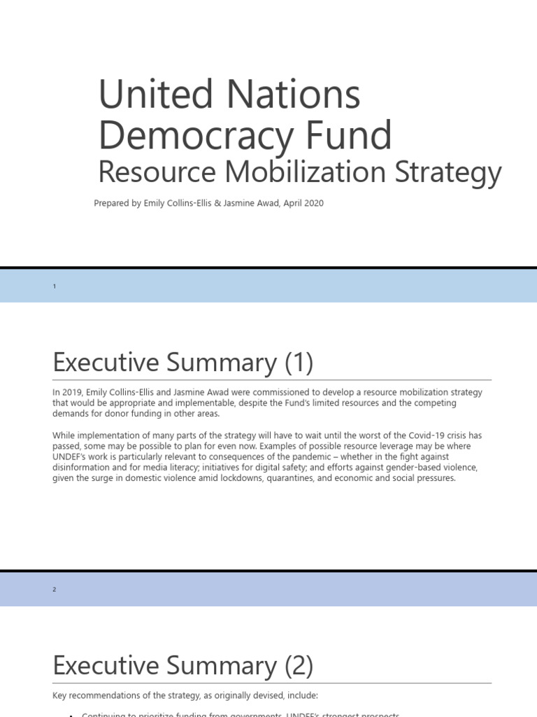 Document B - Resource Mobilization Strategy Undef | PDF | Official ...