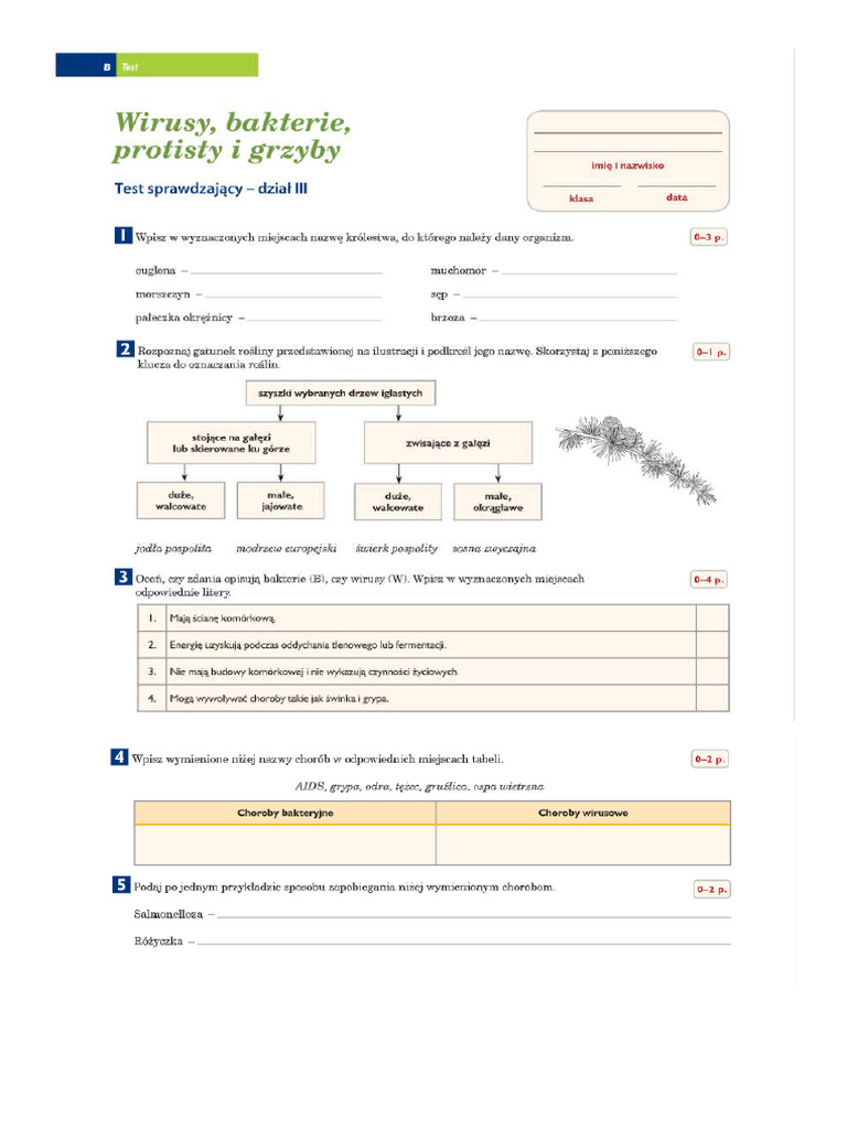 Biologia KL 5 Wirusy, Bakterie, Protisty, Grzyby B | PDF