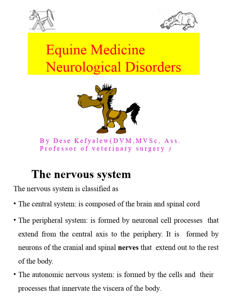 Equine Medicine1 | Download Free PDF | Urinary Tract Infection | Glaucoma