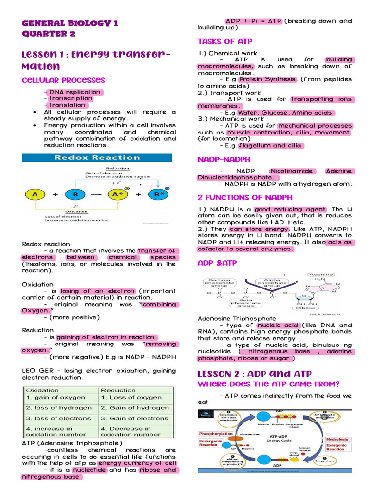GENERAL BIOLOGY REVIEWER | PDF | Cofactor (Biochemistry) | Adenosine ...