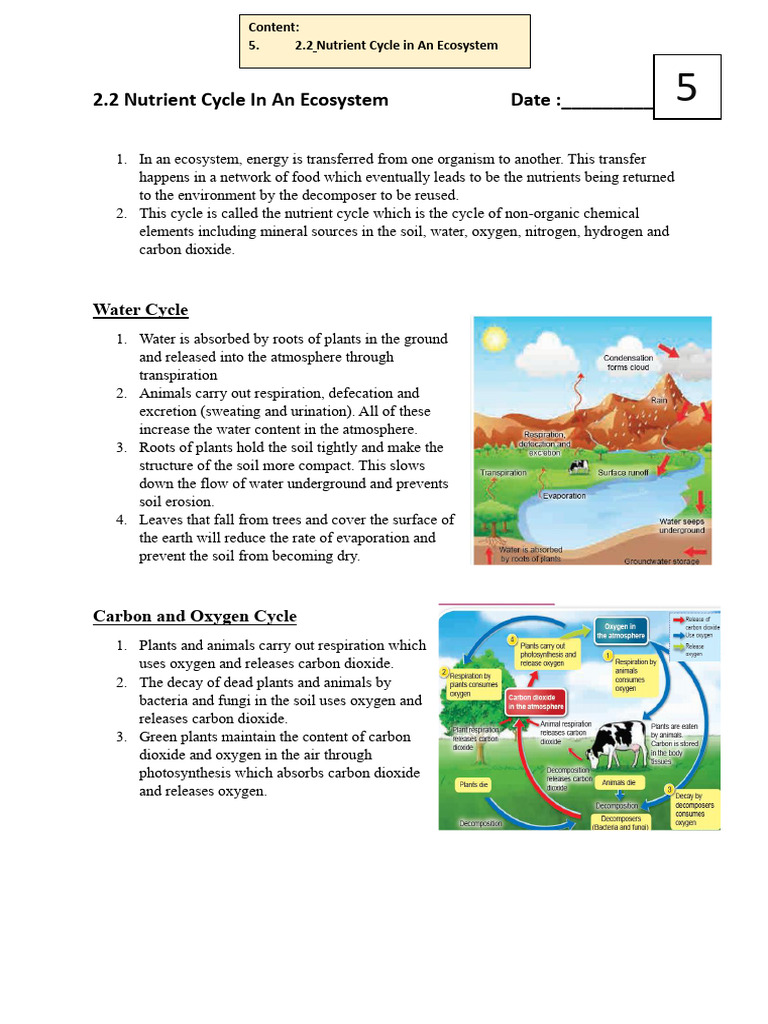 Form 2 Homework Chapter 2 Note2 | PDF | Soil | Water
