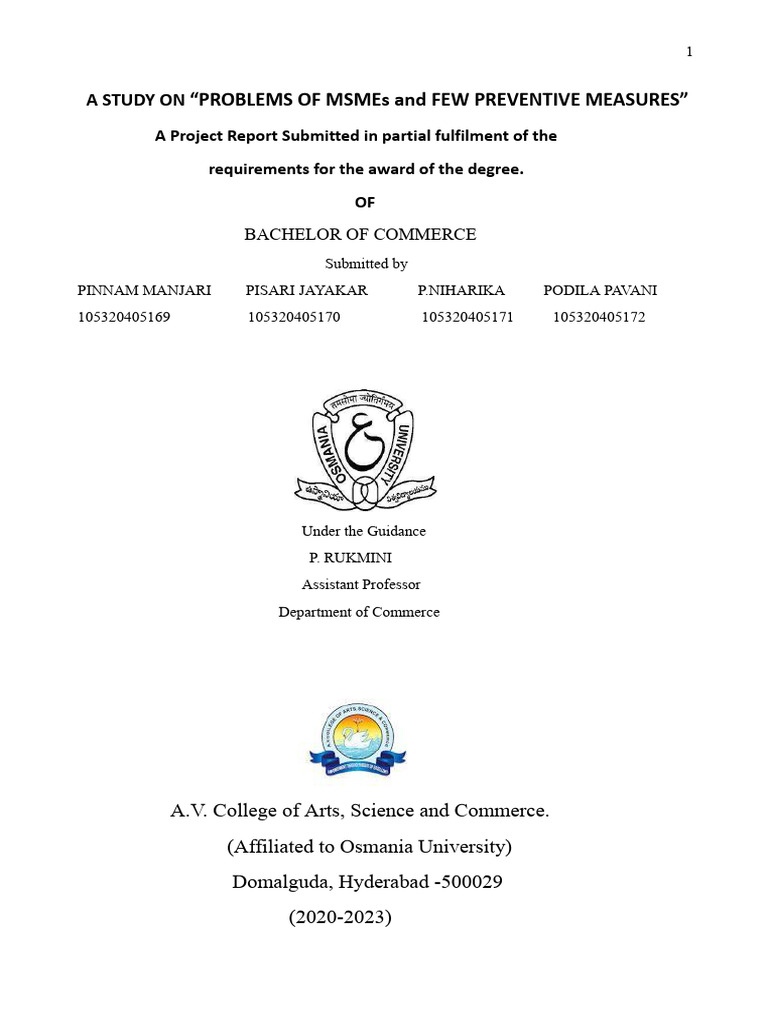 RM Project | PDF | Small And Medium Sized Enterprises | Economies