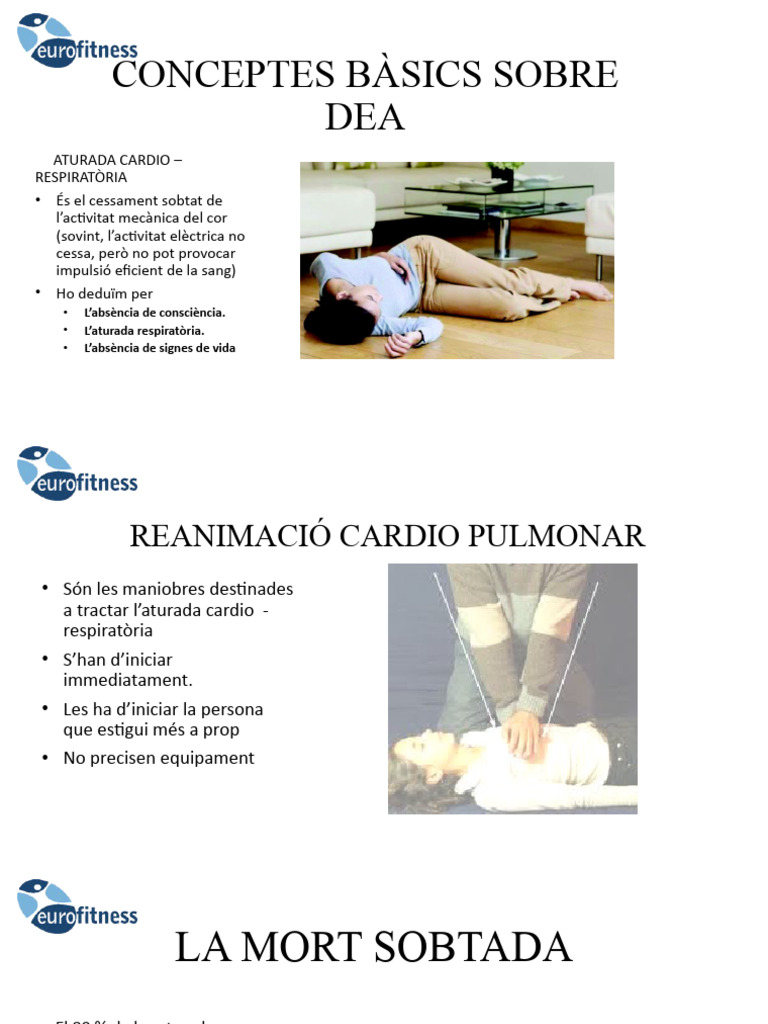 Conceptes Basics Sobre Dea 2 | PDF