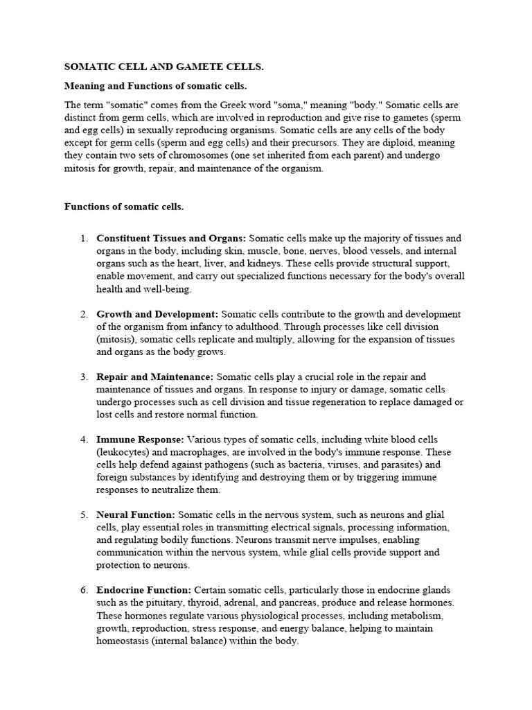 Somatic Cell and Gamete Cells | PDF | Mitosis | Meiosis