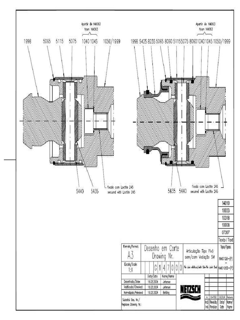 Bomba Netsch G147000 | PDF