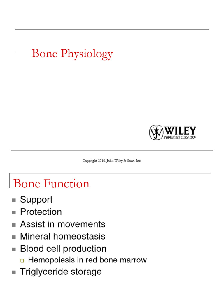 Bone Physiology (Physiology Lecture) | PDF | Vertebra | Bone