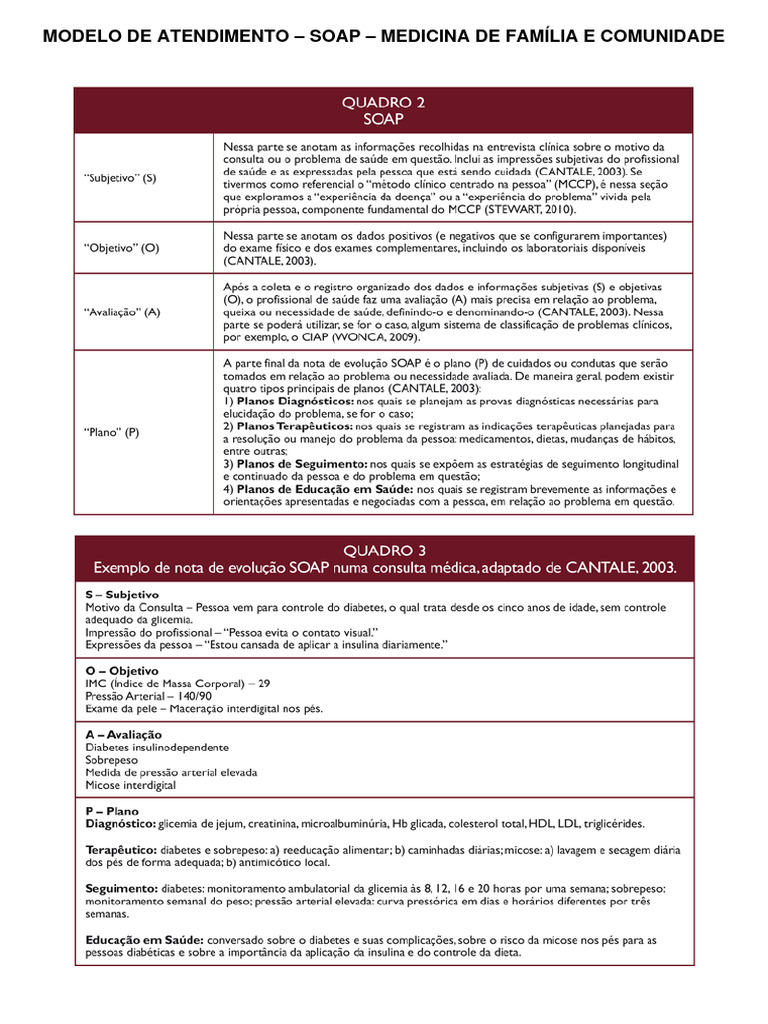 Modelo de Atendimento Soap | PDF