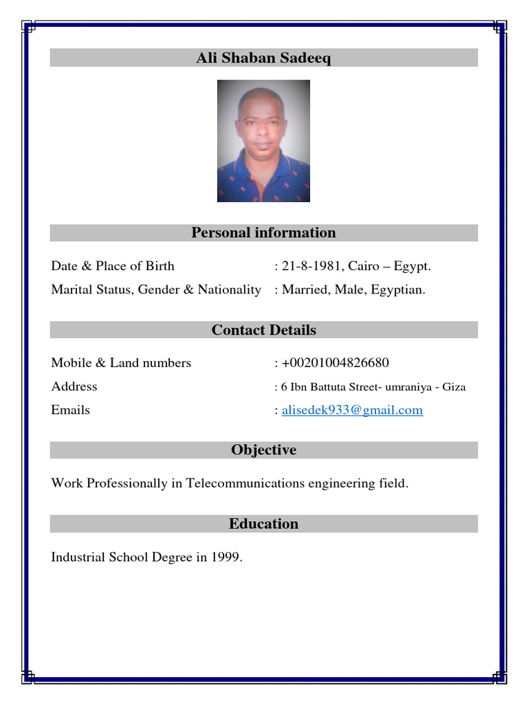 (CV) Ali Shaban Sadeeq | PDF | Telecommunications | Telecommunications Engineering