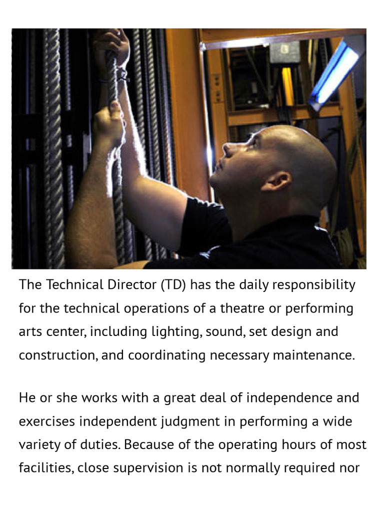 Technical Director | TD | PDF | Business