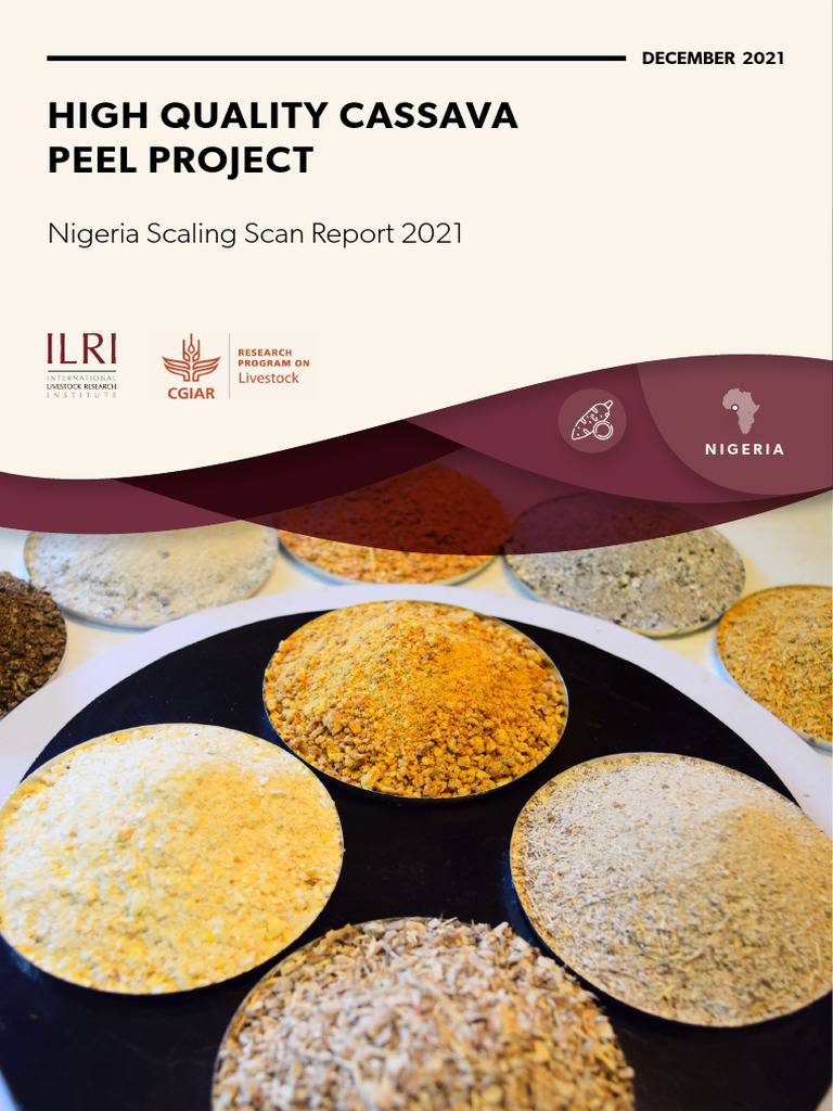 High Quality Cassava Peel | PDF | Innovation | Sustainability