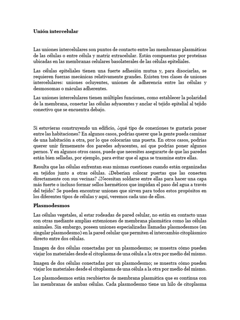 Uniones Intercelulares: Tipos y Funciones | PDF | Biología Celular ...