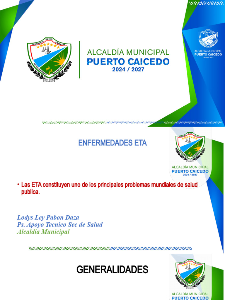 Presentacion Etas | PDF