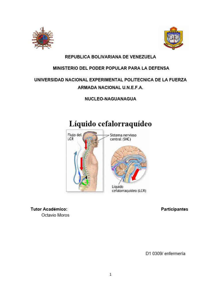liquido cefalorraquideo | PDF | Fluido cerebroespinal | Sistema nervioso central