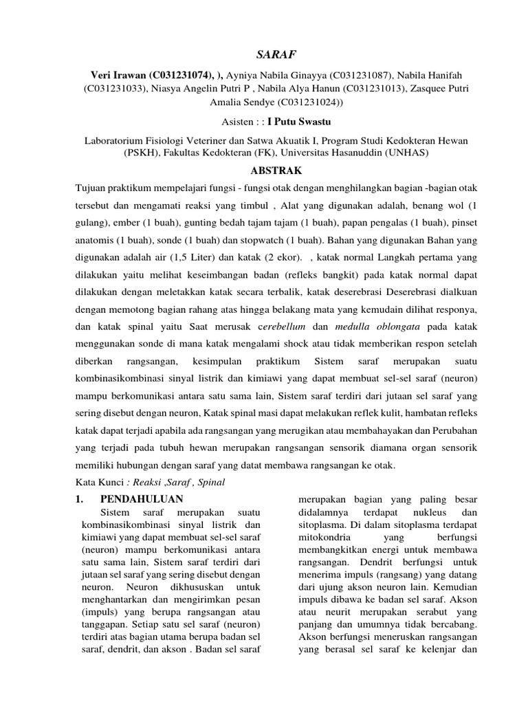 Laporan Unit Saraf Veri Irawan | PDF | Pengembangan Diri | Kesehatan ...