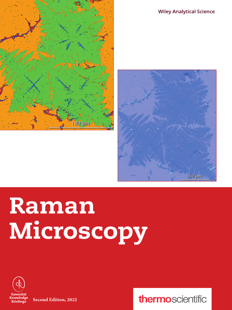 Raman Microscopy Overview and Applications | PDF | Raman Spectroscopy ...