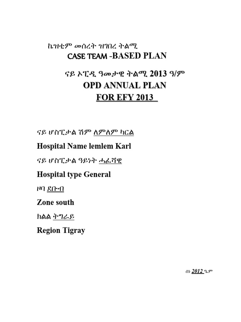 Opd 2013 Actin Plan | PDF