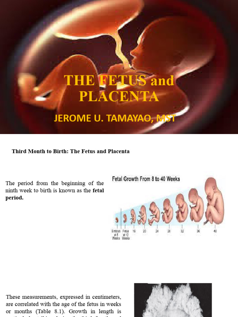 THE-FETUS-and-PLACENTA | PDF | Placenta | Fetus