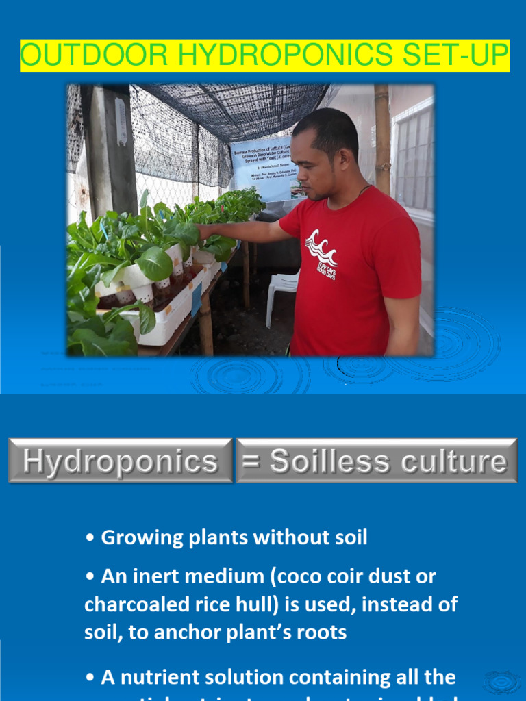 1.0 Hydroponic Set Up and Report Assignment | PDF | Hydroponics | Soil