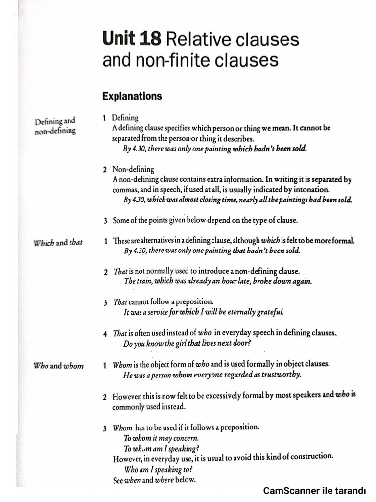 Relative Clauses | PDF