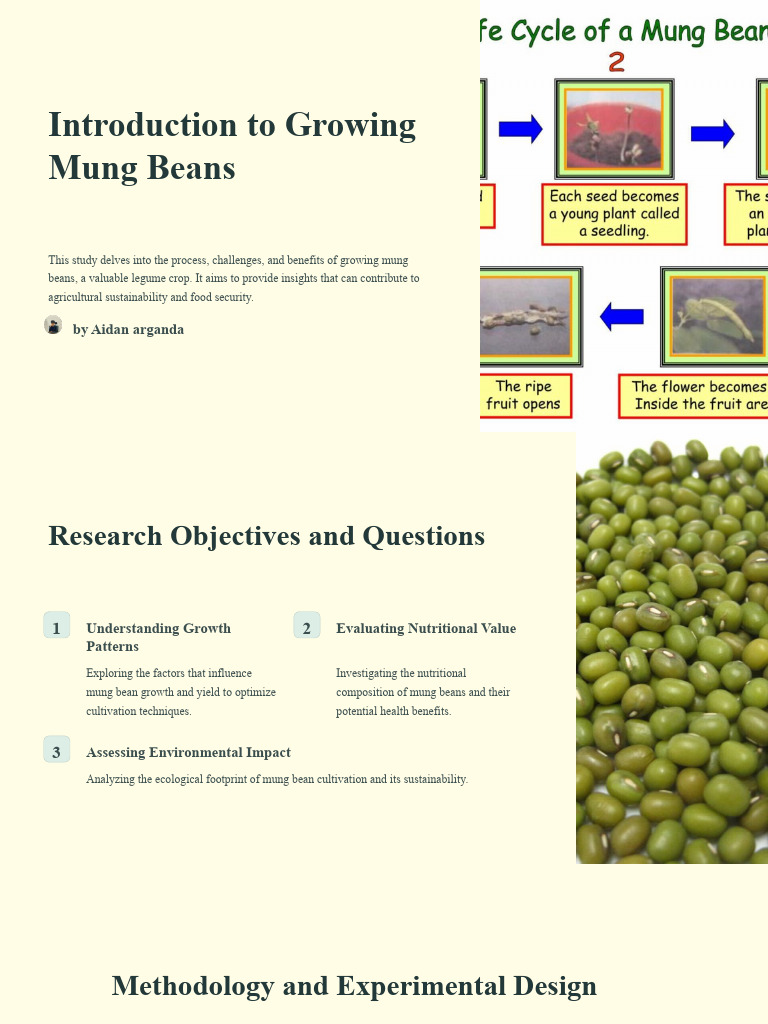 Introduction to Growing Mung Beans | PDF | Sustainability | Agriculture
